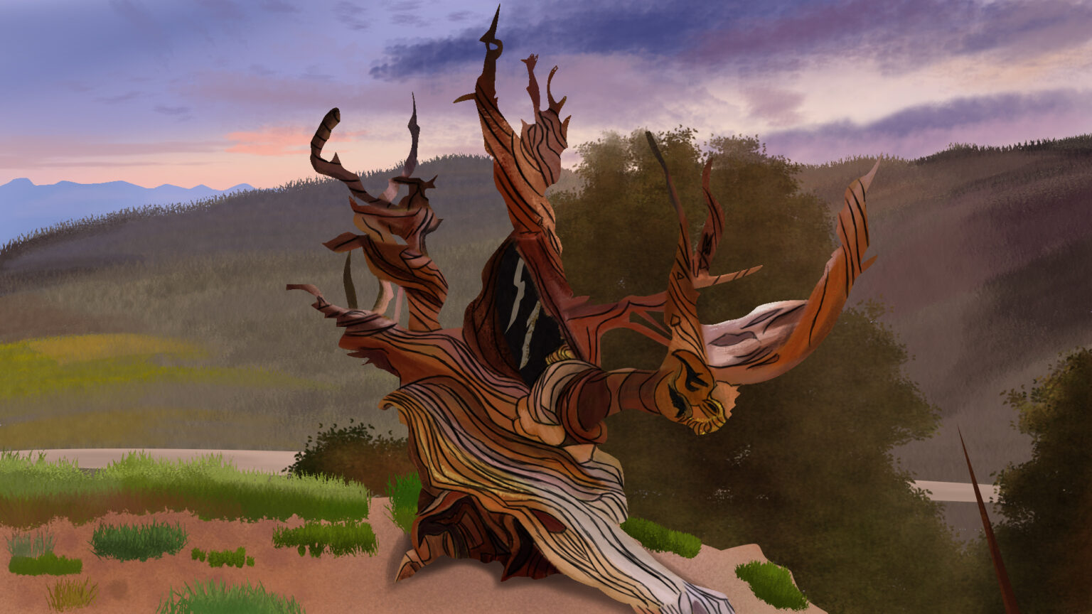 The oldest tree in the world - Methuselah - DEKMARK