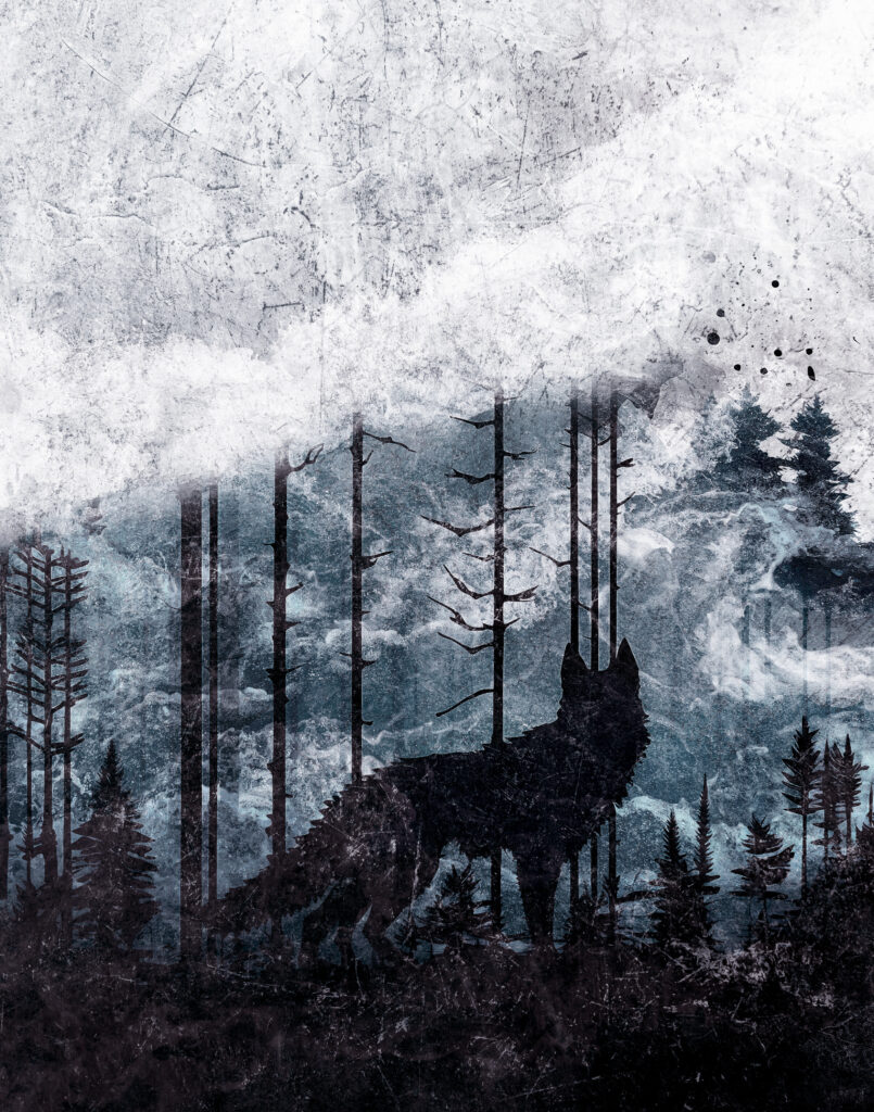 Wolf in the Forest - DEKMARK