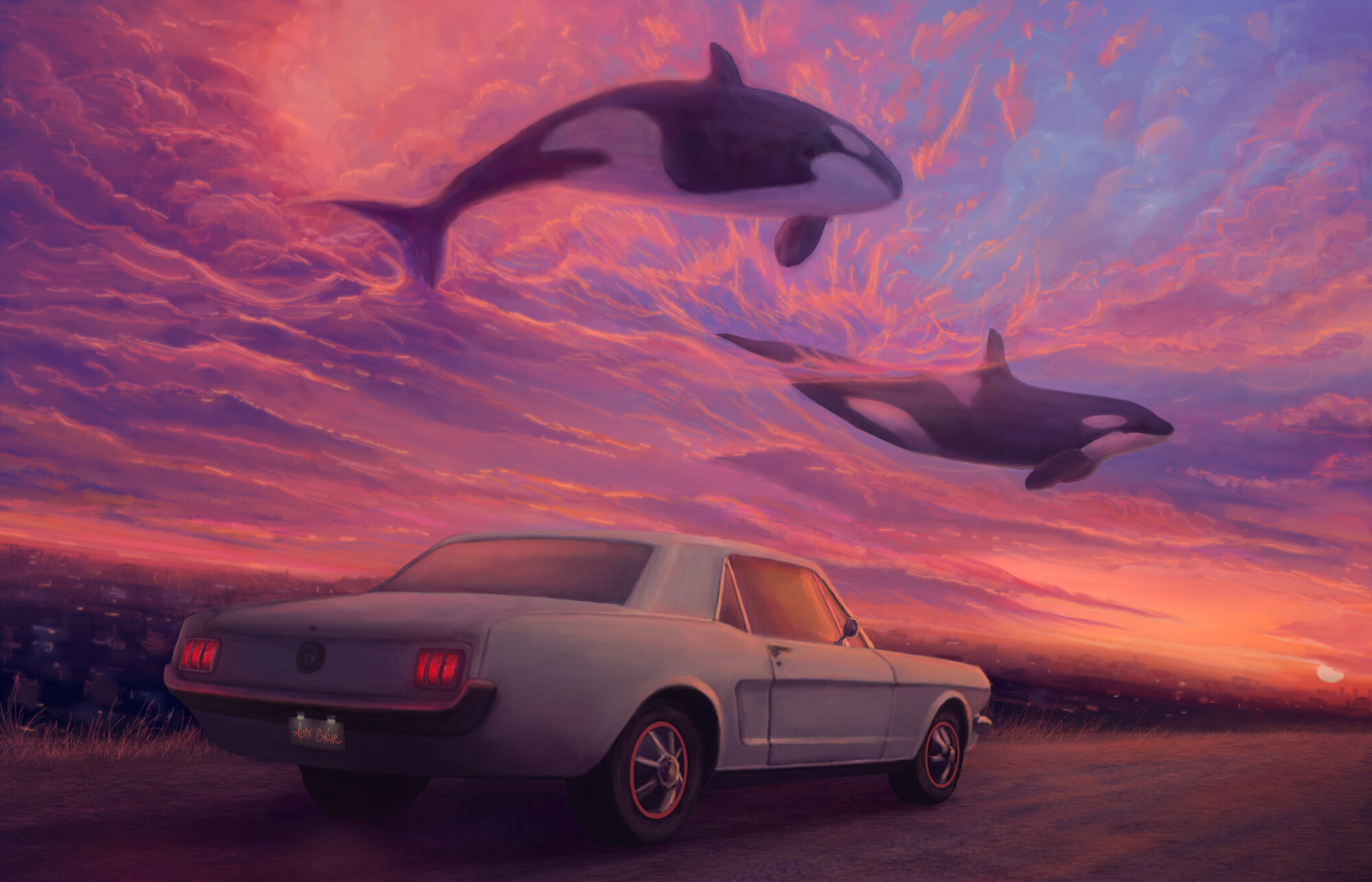 Whales DEKMARK